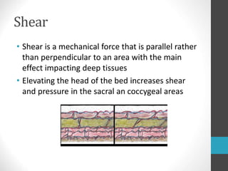 wound-care.ppt