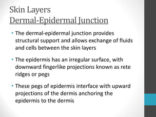 wound-care.ppt