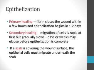 wound-care WITH DETAILS ALL ASPECTS .ppt