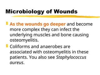 wound the microbiology of wounds -in detail | PPT