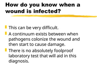 wound the microbiology of wounds -in detail | PPT