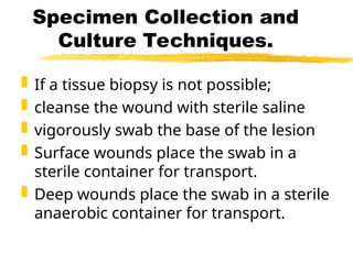wound the microbiology of wounds -in detail | PPT