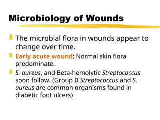 wound the microbiology of wounds -in detail | PPT