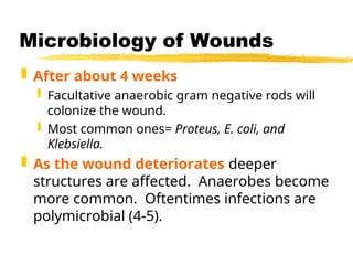 wound the microbiology of wounds -in detail | PPT