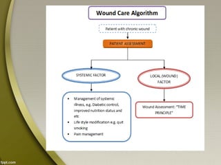 Wound algorithm.pptx