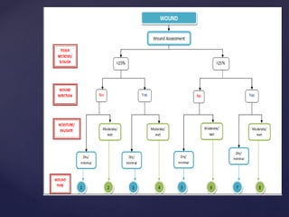 Wound algorithm.pptx