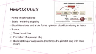 Stages of Wound and Bone Healing (Ortho) | PPTX | Blood Disorders | Diseases and Conditions