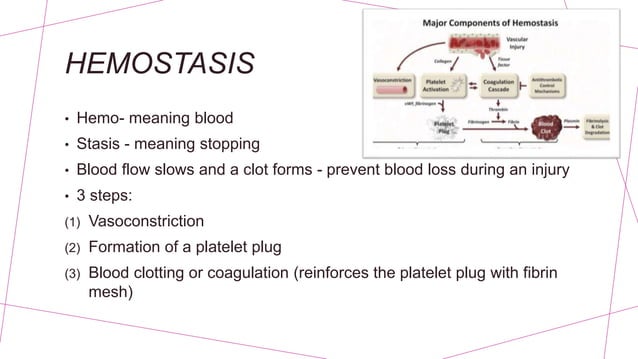 Stages of Wound and Bone Healing (Ortho) | PPTX | Blood Disorders ...