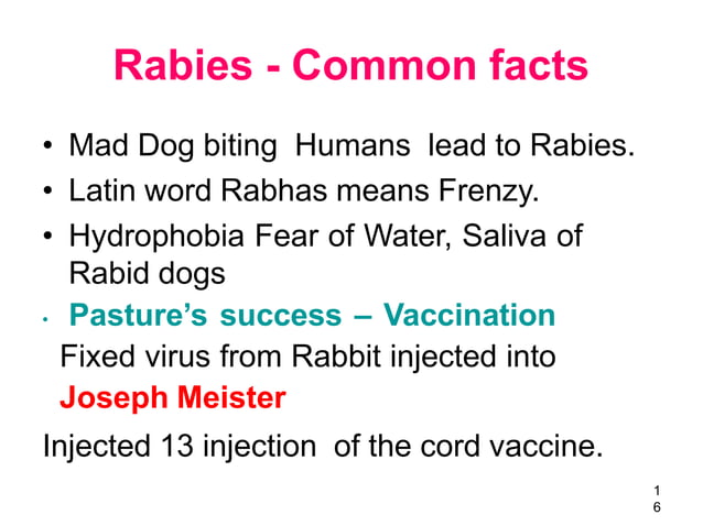 Wound and Rabies Prevention.pptx | Infectious Diseases | Diseases and ...