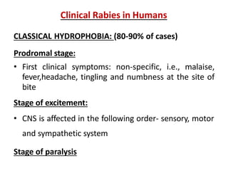 Wound and Rabies Prevention.pptx
