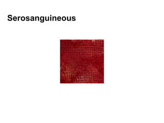 Wound and wound drainage.pptx