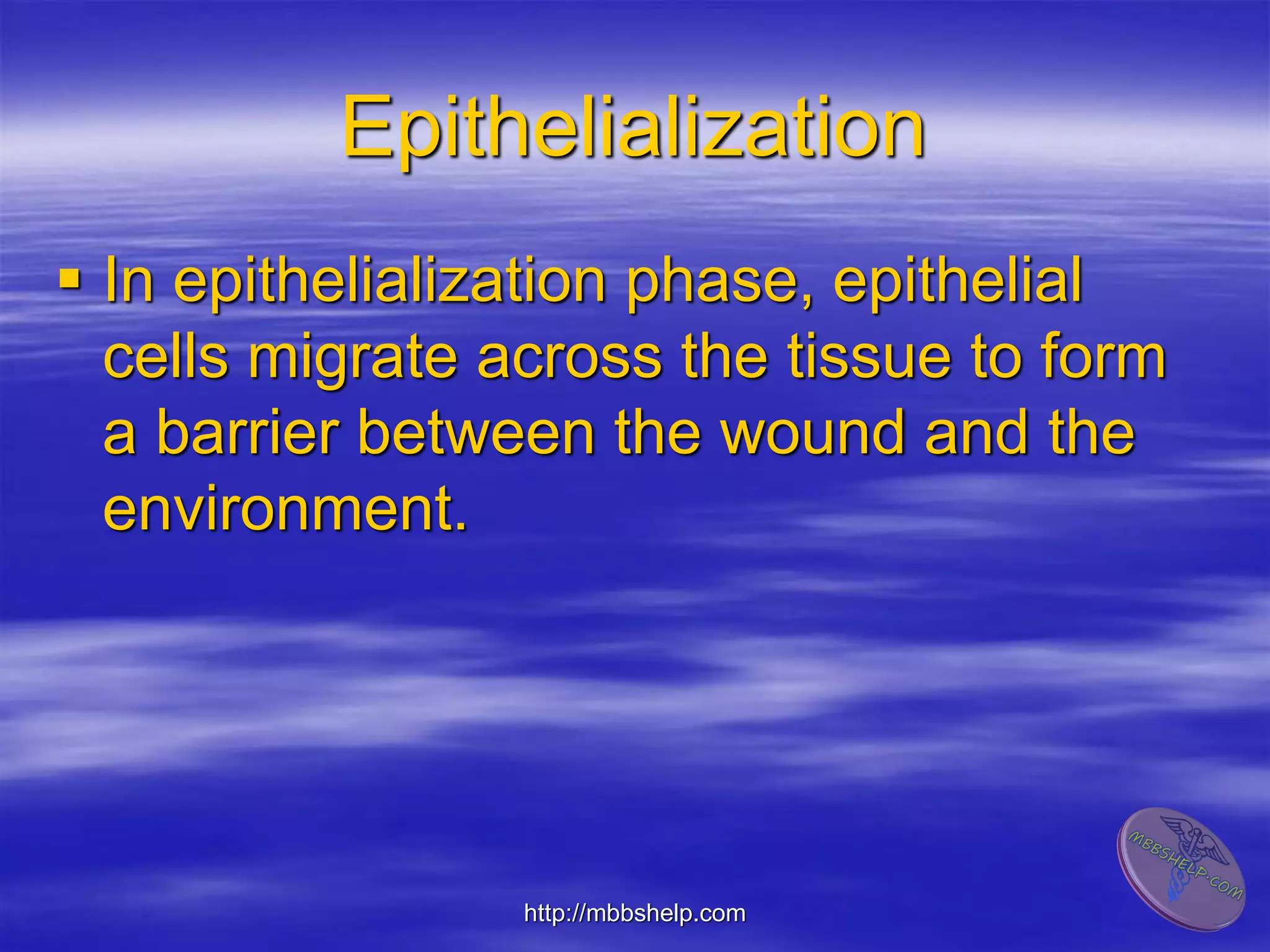 Wound and wound infection | PDF