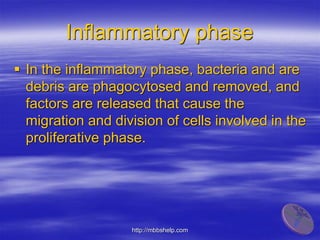 Wound and wound infection | PDF