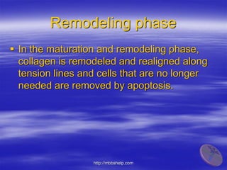 Wound and wound infection | PDF