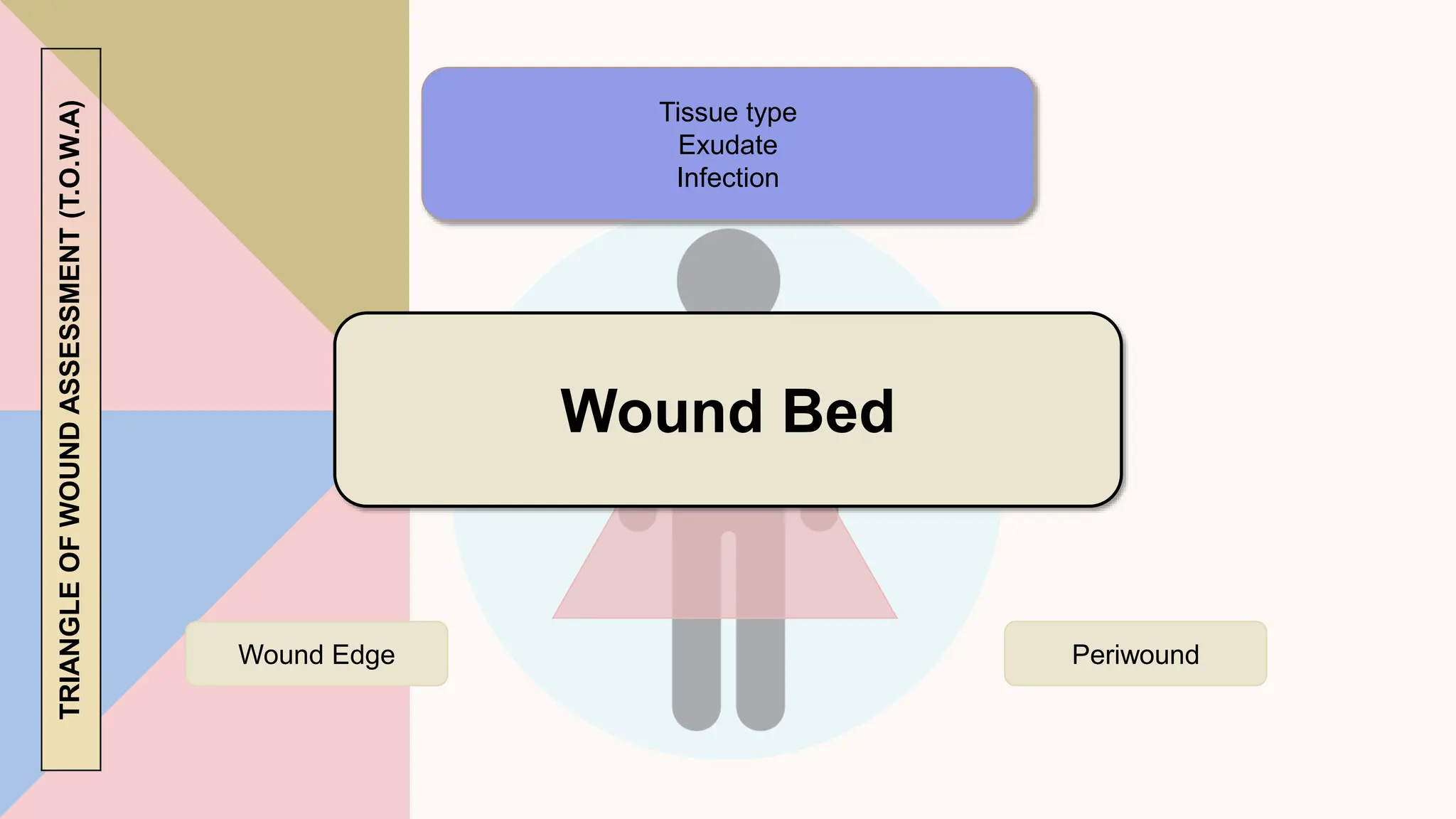 Wound assessment and documentation HOSPITAL mERSING.pptx