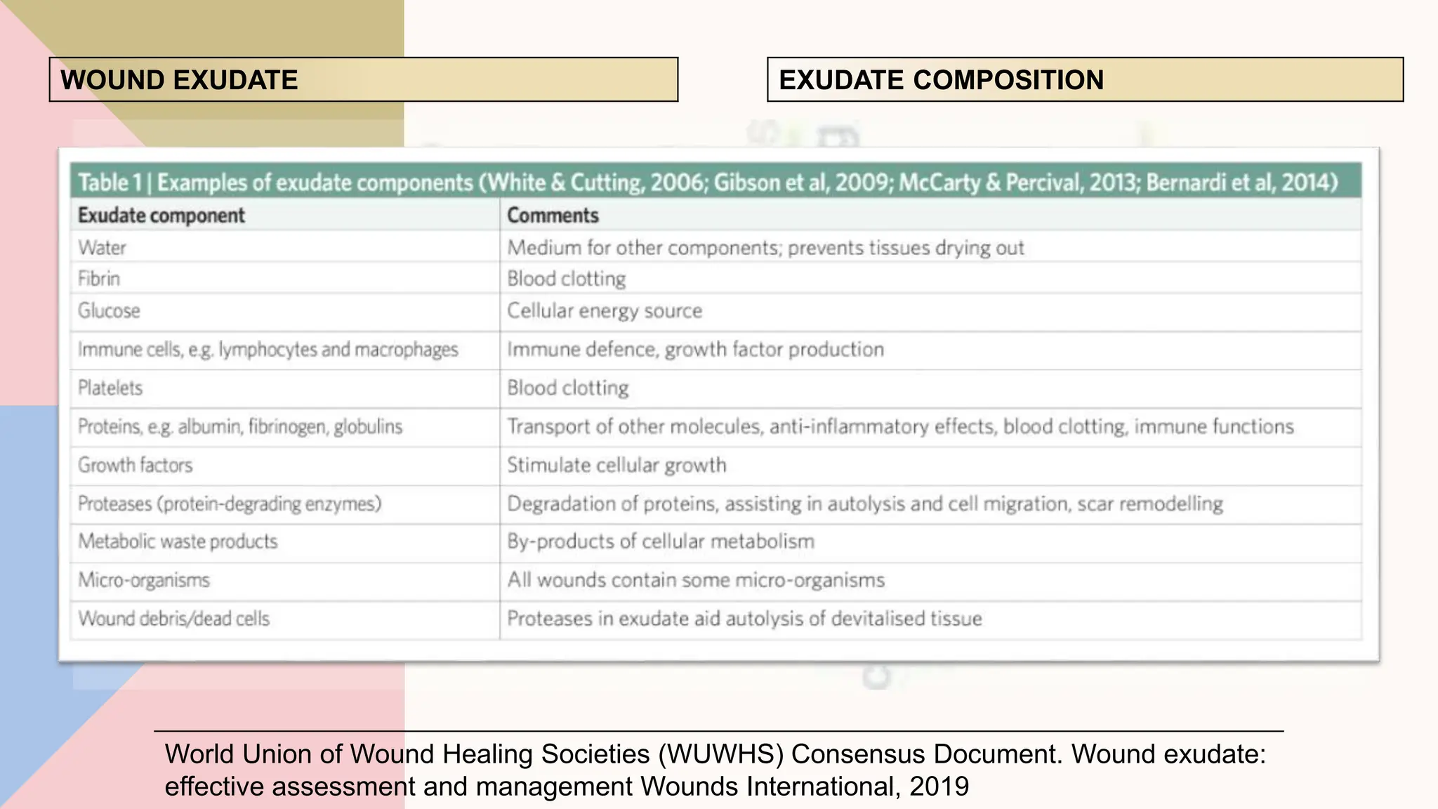Wound assessment and documentation HOSPITAL mERSING.pptx