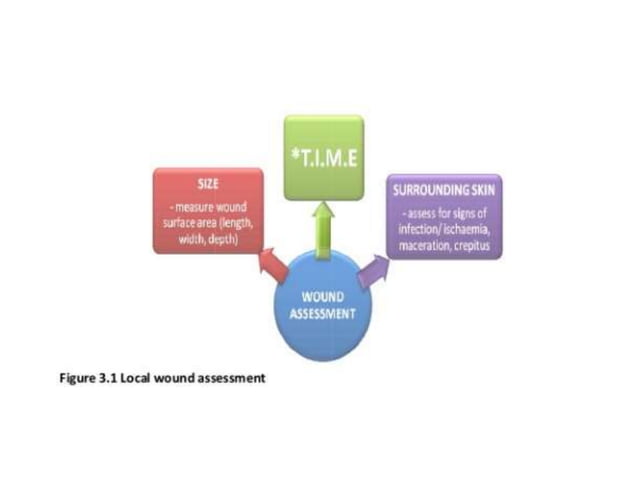 Wound assessment and modern dressing | PPTX | First Aid | Injuries