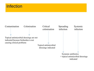 Wound assessment and products | PPT