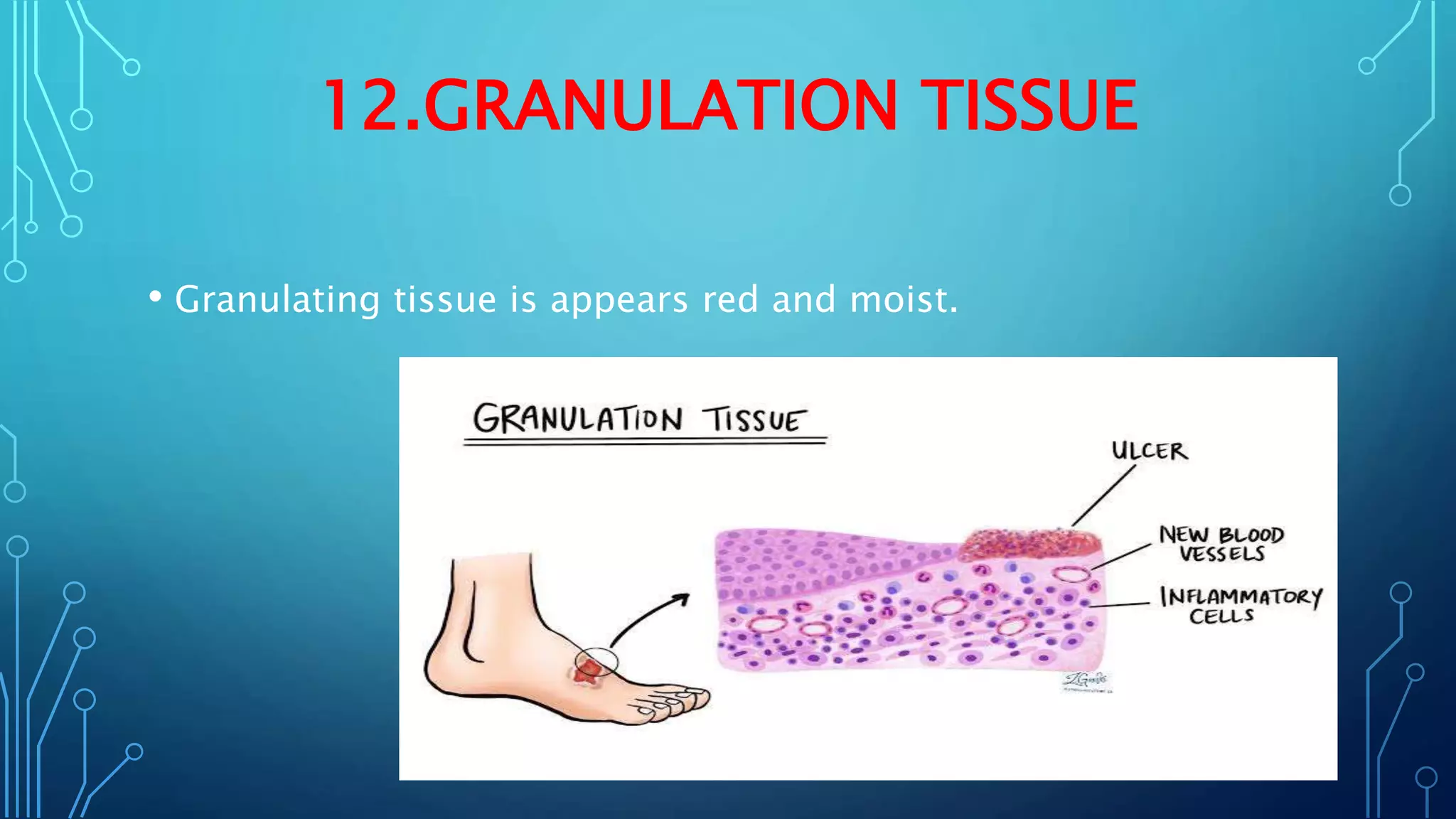wound assessment tools.pptx