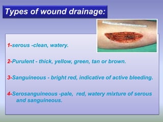 Types Of Wound Drainage