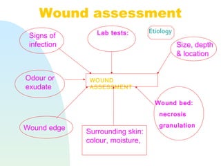 Wound care 09 | PPT
