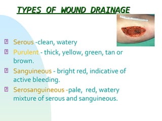 Wound Drainage Types