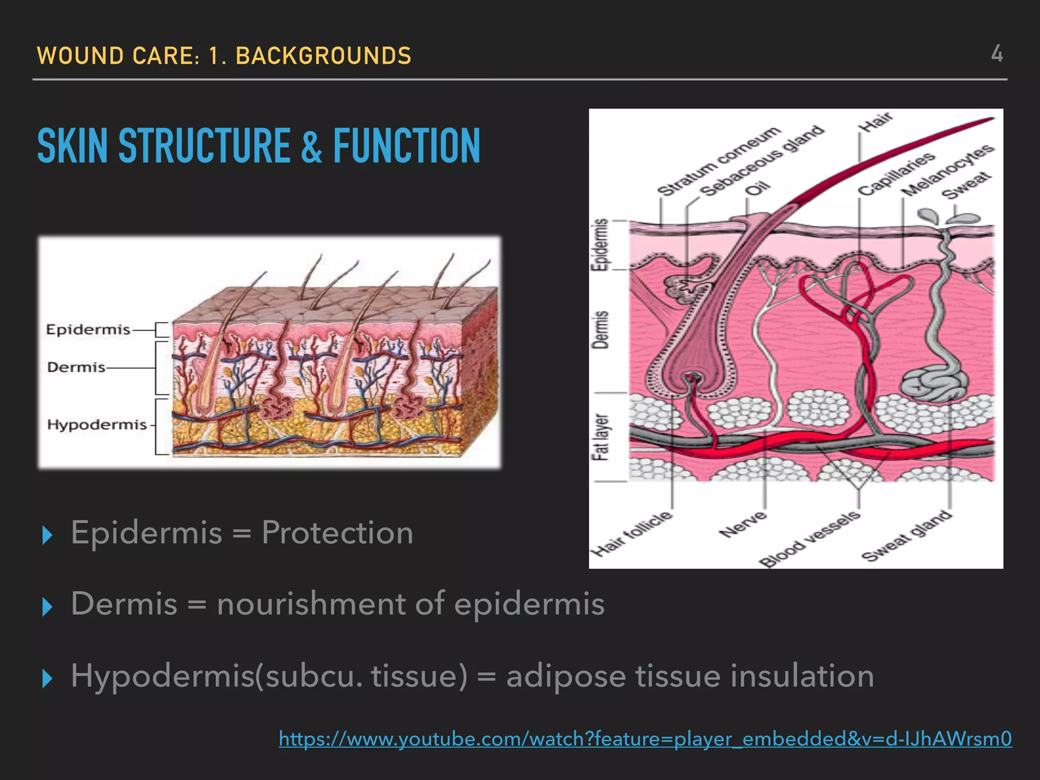 Wound care | PDF