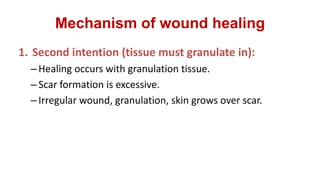 Wound care (3 Hrs.pptx