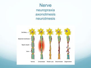 Wound care and antisepsis in dentistry | PPTX