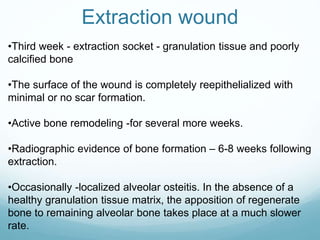 Wound care and antisepsis in dentistry | PPTX