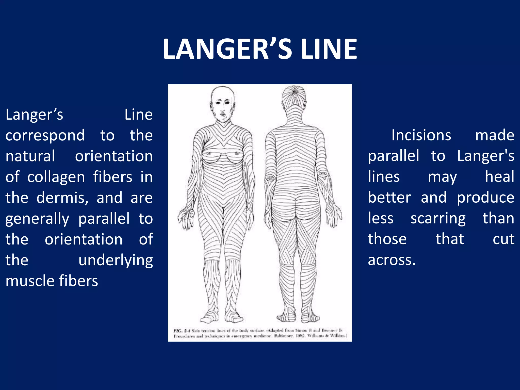 Wound care essentials | PPTX