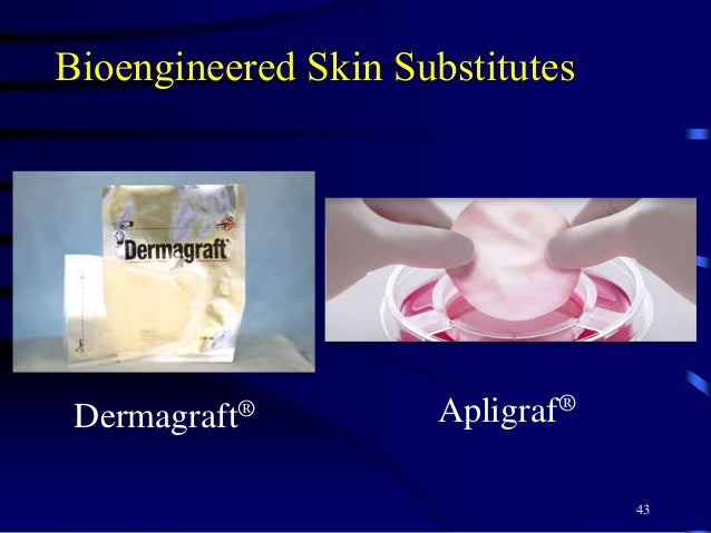 2015: Wounds in the Geriatric Population-Salas