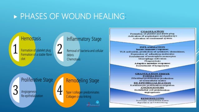 Wound care management | PPTX