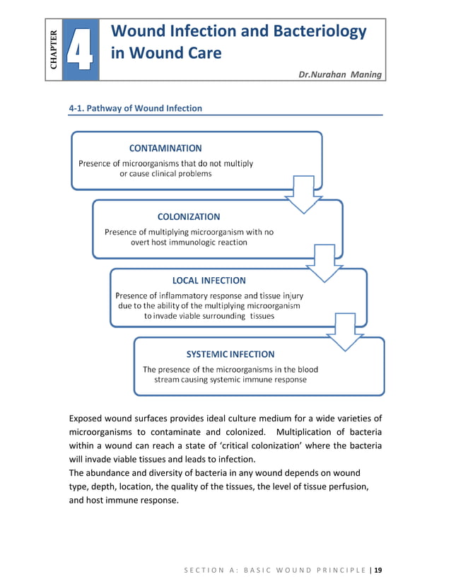 Wound Care Manual, 1st Edition 2014 | PDF | First Aid | Injuries