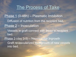 woundcare_SkinGraft.ppt presentation for doctors | PPT