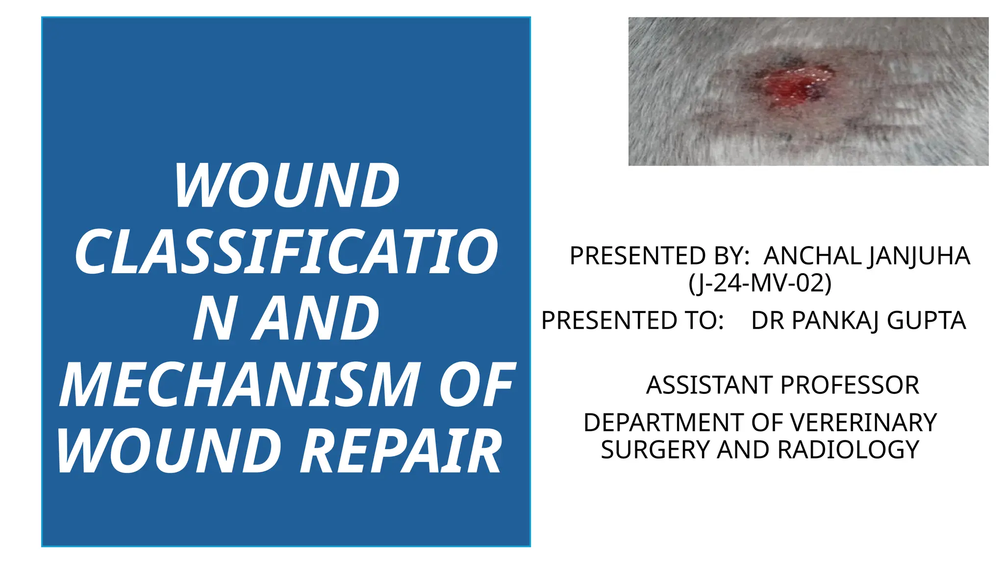 WOUND CLASSIFICATION AND MECHANISM OF WOUND REPAIR.pptx