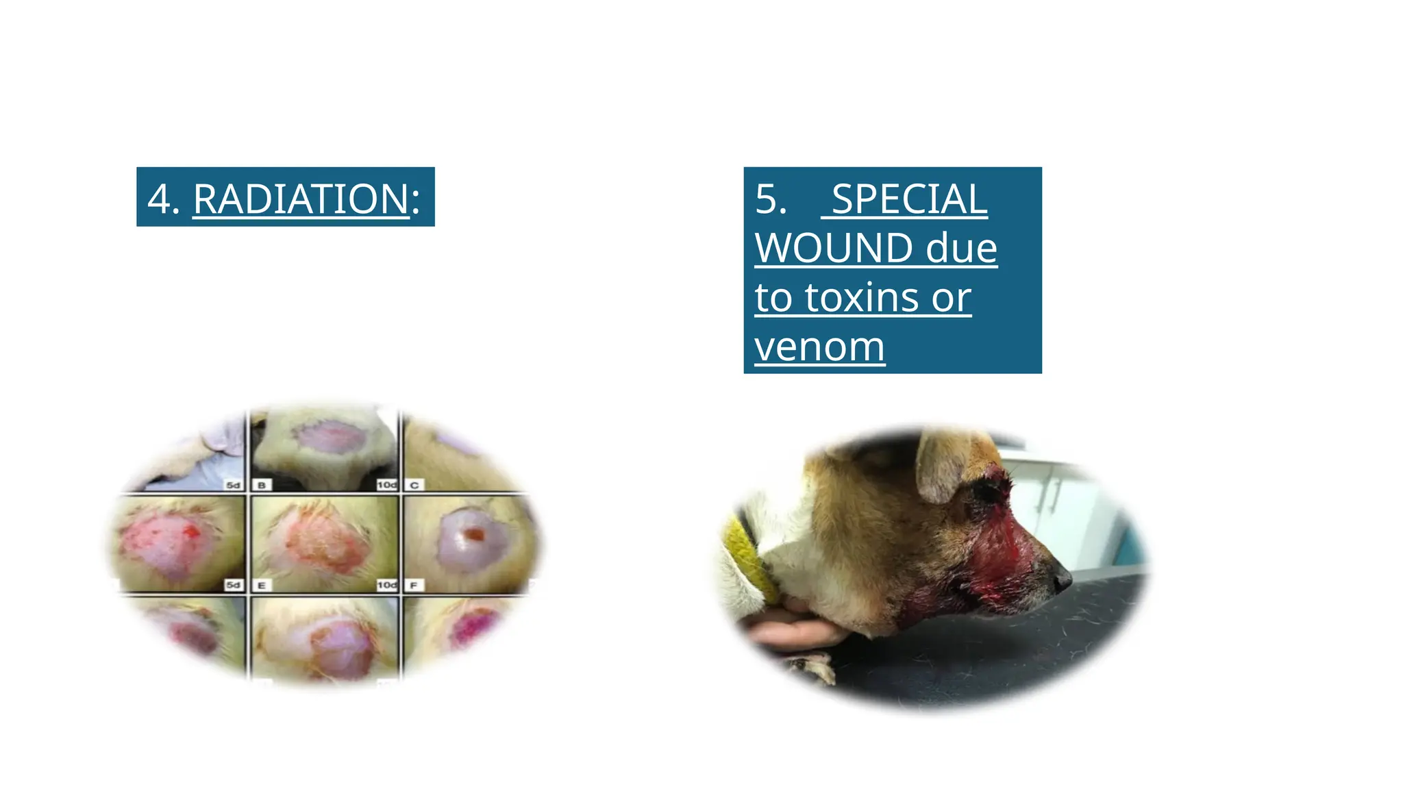 WOUND CLASSIFICATION AND MECHANISM OF WOUND REPAIR.pptx