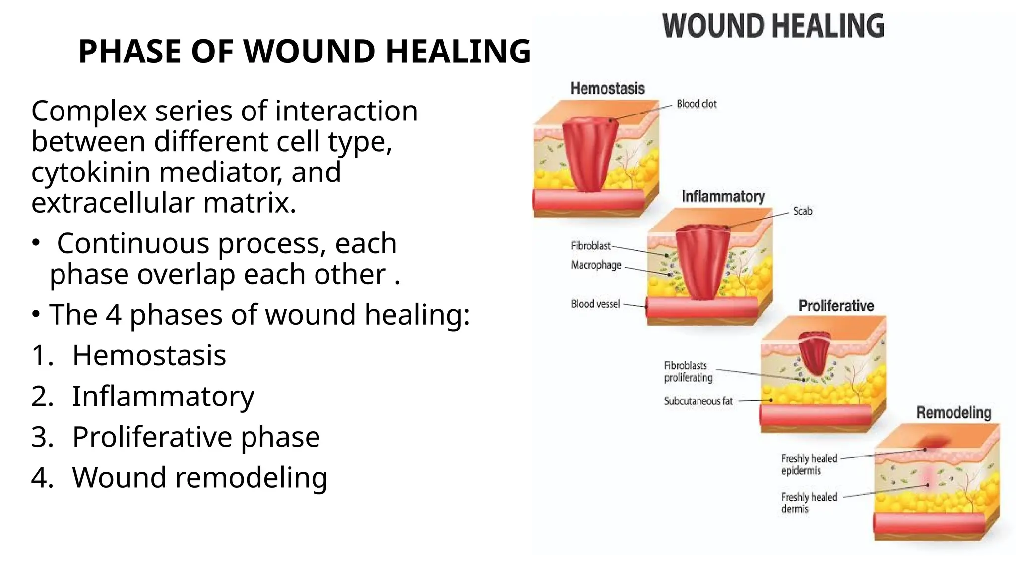 WOUND CLASSIFICATION AND MECHANISM OF WOUND REPAIR.pptx