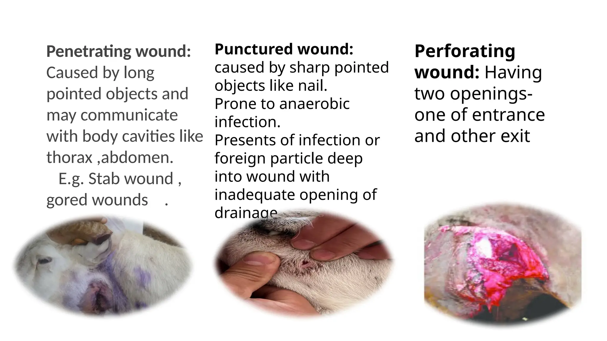 WOUND CLASSIFICATION AND MECHANISM OF WOUND REPAIR.pptx
