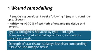 WOUND CLASSIFICATION AND MECHANISM OF WOUND REPAIR.pptx