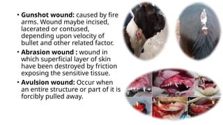 WOUND CLASSIFICATION AND MECHANISM OF WOUND REPAIR.pptx