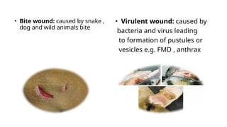 WOUND CLASSIFICATION AND MECHANISM OF WOUND REPAIR.pptx