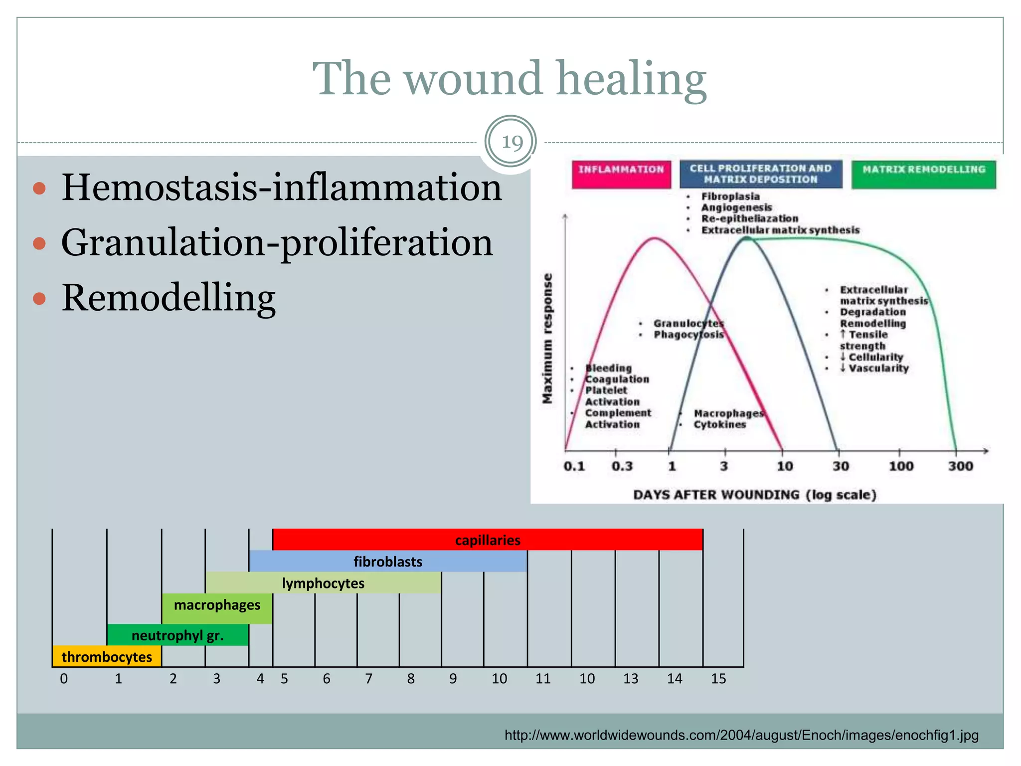 Wound Classifications.ppt