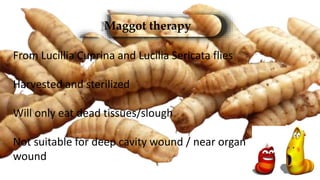 wound debriderment.pptx