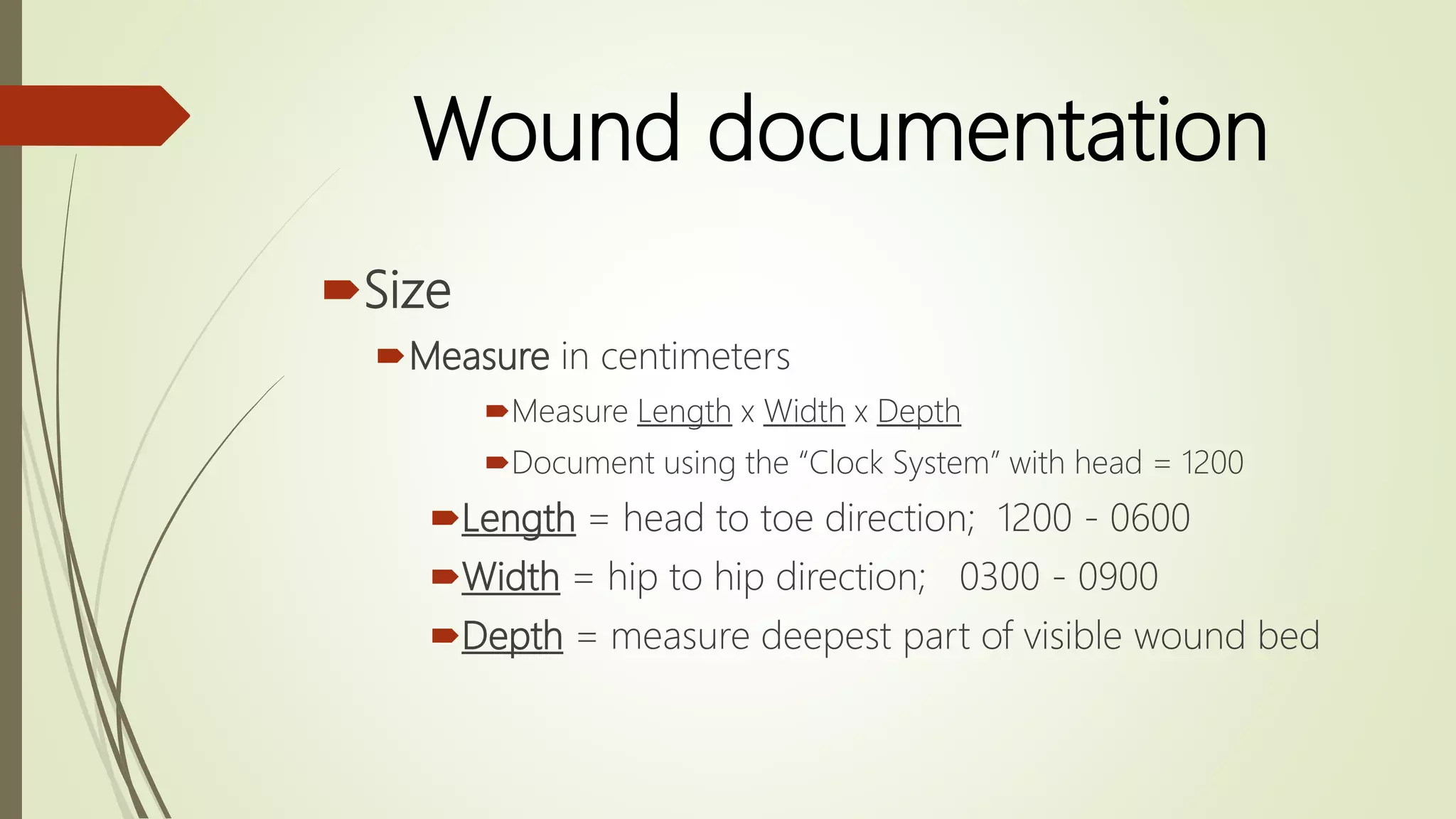 Wound documentation: anatomy & photography | PPTX