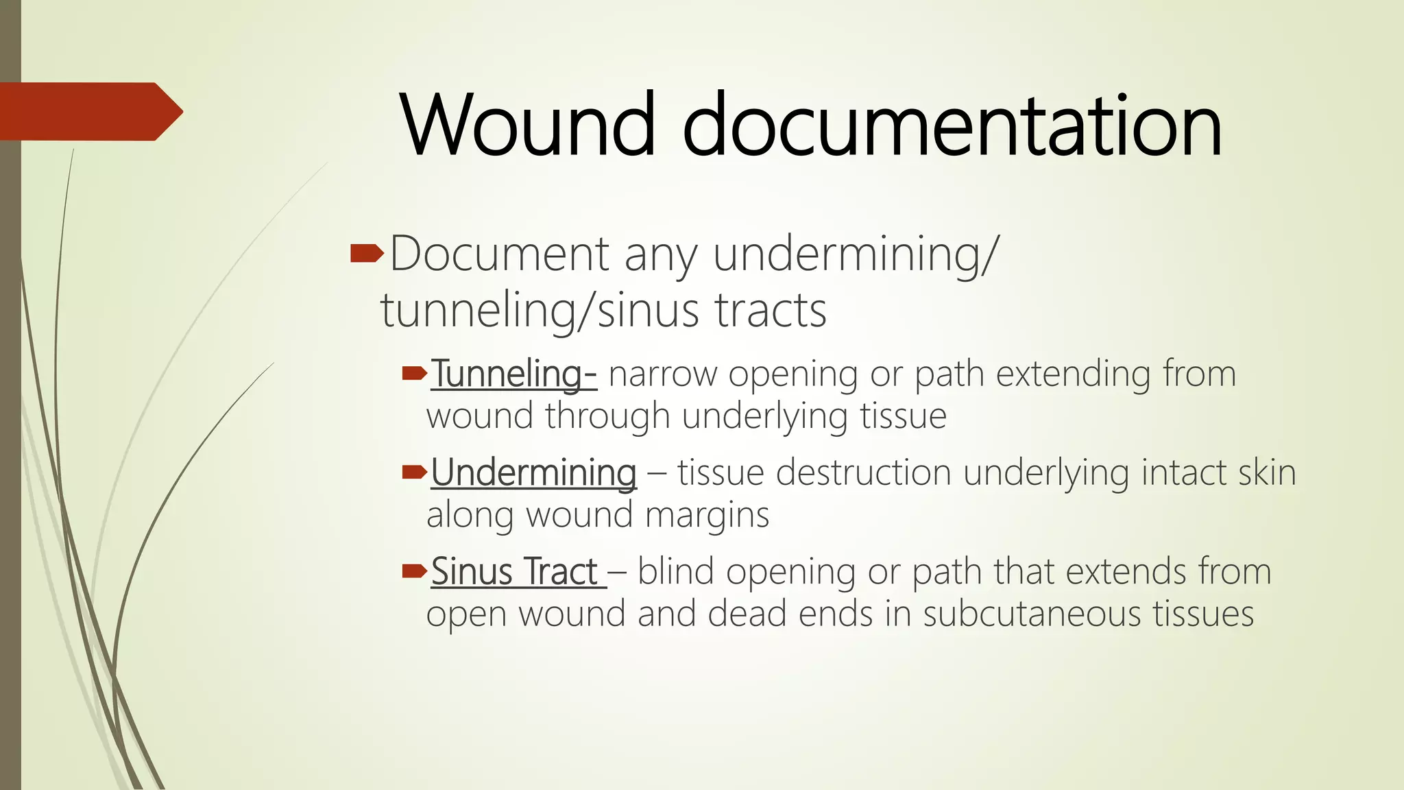 Wound documentation: anatomy & photography | PPTX