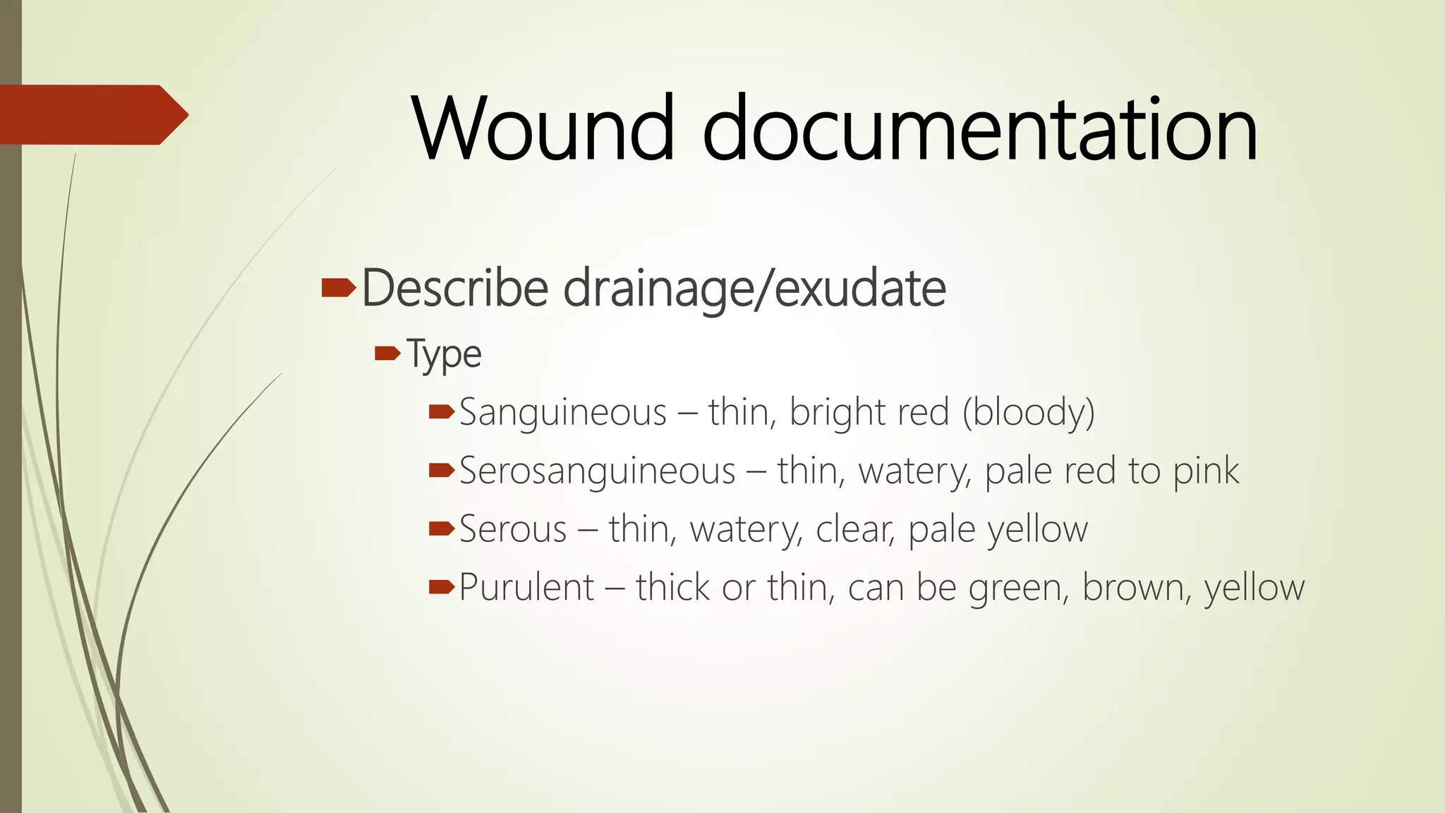 Wound documentation: anatomy & photography | PPTX