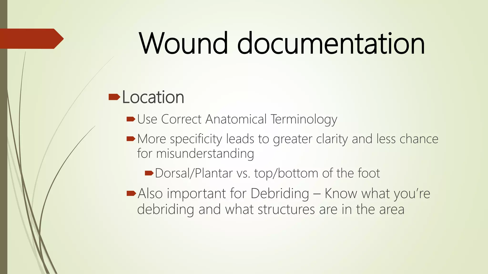 Wound documentation: anatomy & photography | PPTX