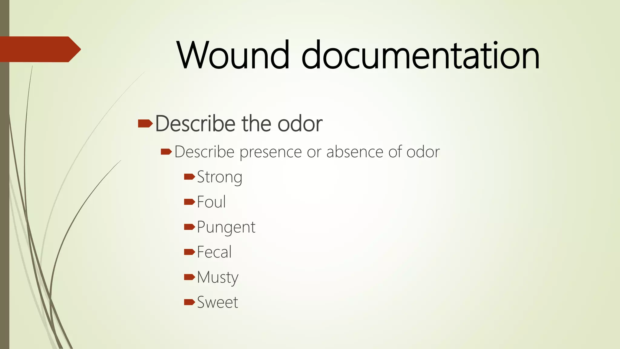 Wound documentation: anatomy & photography | PPTX | Foot Health ...