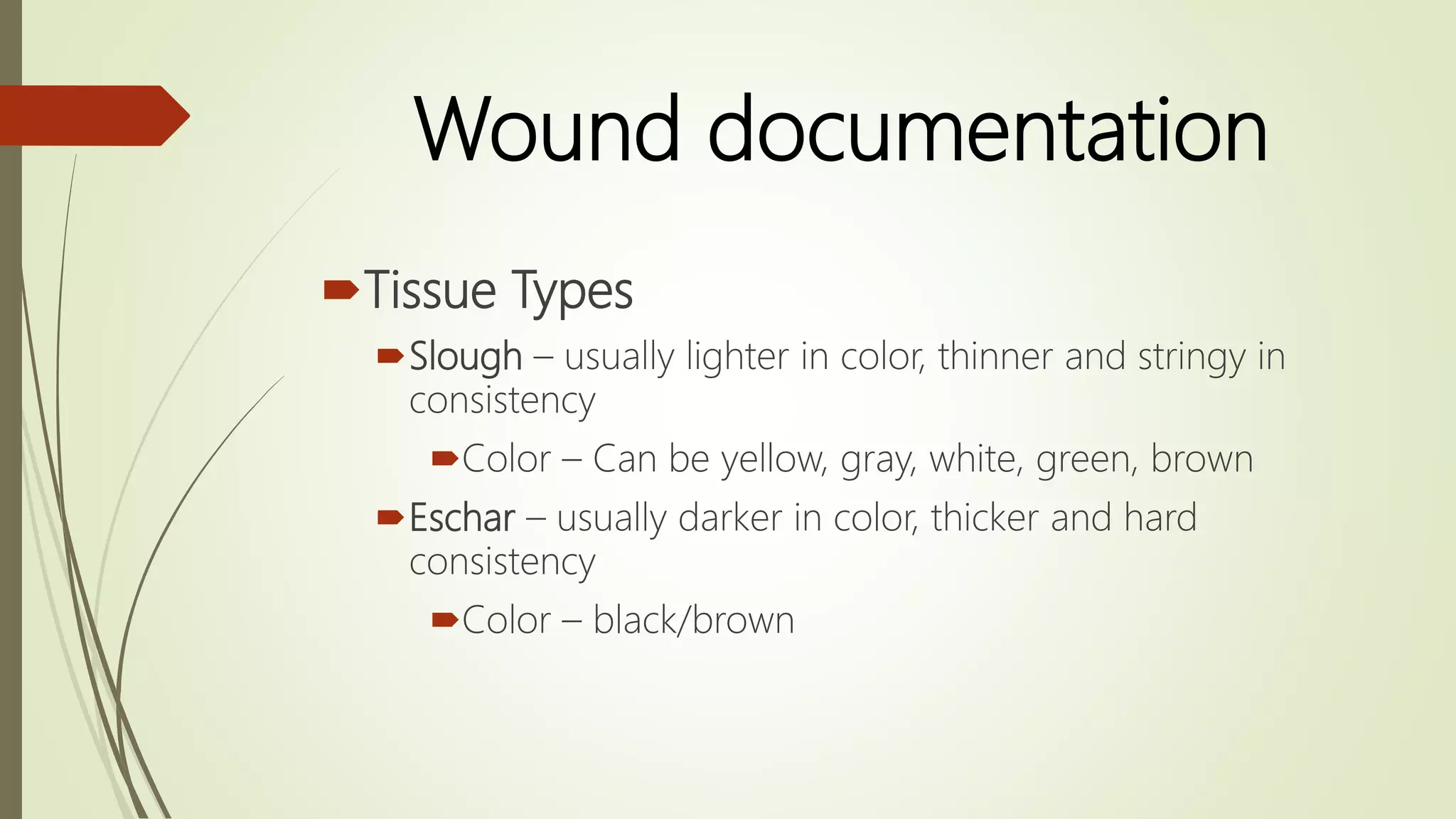Wound documentation: anatomy & photography | PPTX